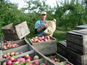Top 5 Apple Orchards in Maine 2025 Edition | Box Of Maine