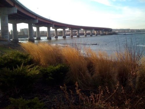 Knightville, South Portland (A complete guide to the area) | Box Of Maine